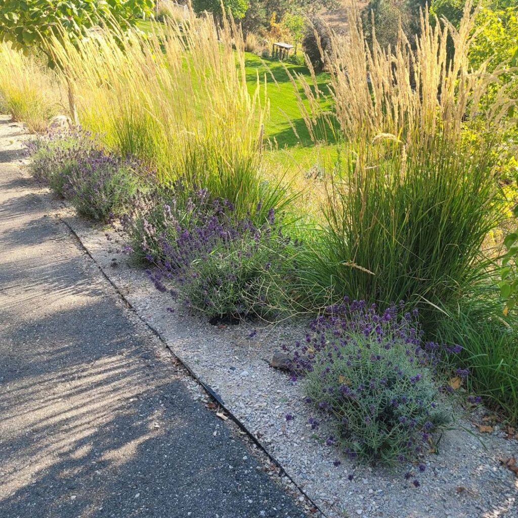 How to Plan Beautiful Landscape Design Kelowna BC - Fuller's ...