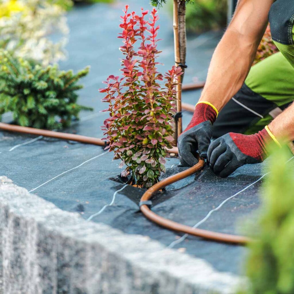 Landscaping Projects in the Okanagan